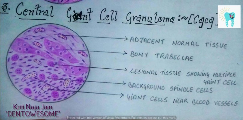 Histology – Dentowesome