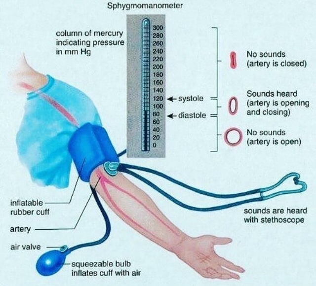 10 Steps to Accurate Manual Blood Pressure Measurement – Dentowesome