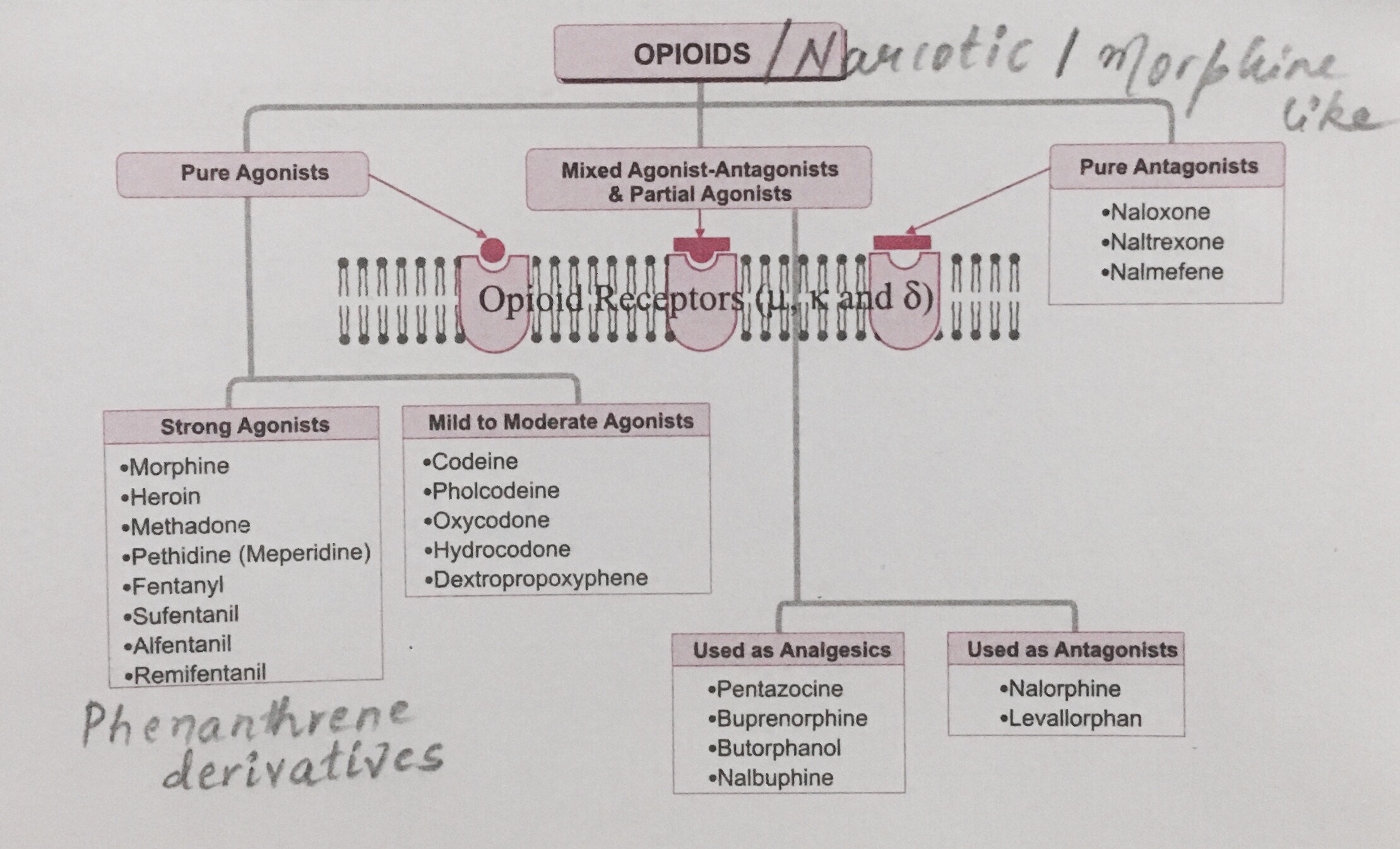 ANALGESICS AND ANTI-INFLAMMATORY DRUGS(NSAID’s) IN DENTISTRY – Dentowesome