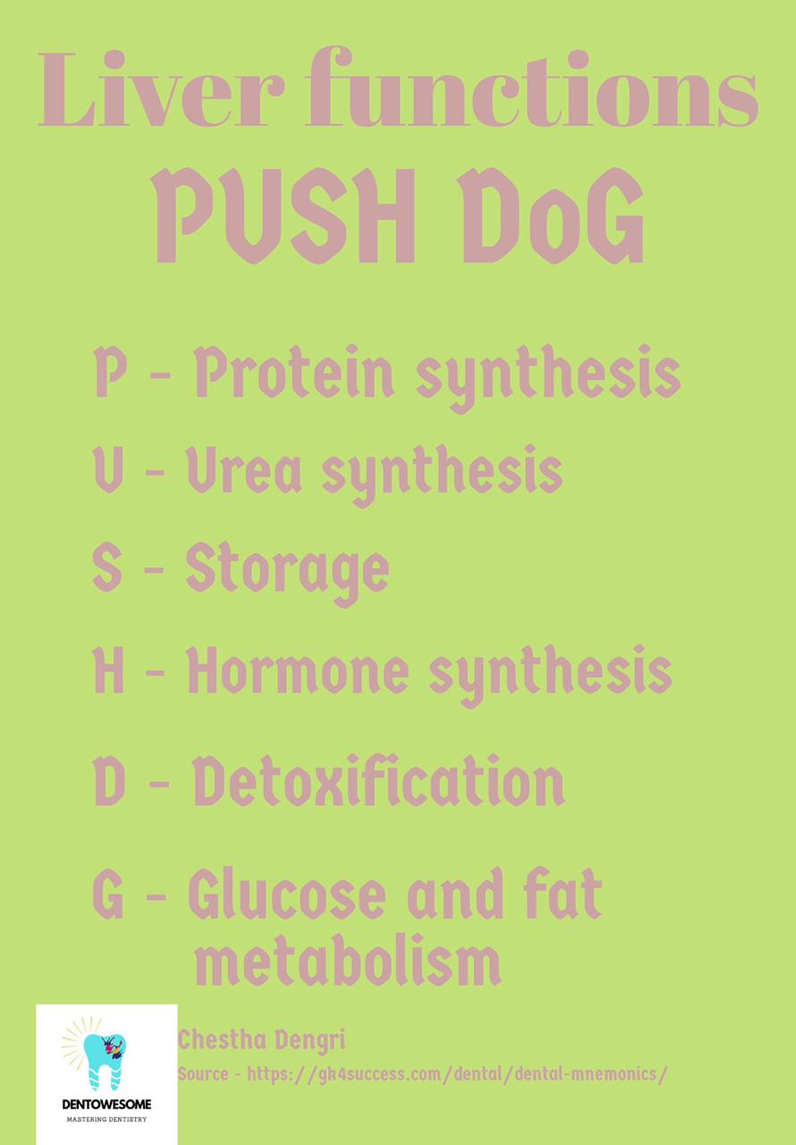 Mnemonic on Liver Functions – Dentowesome