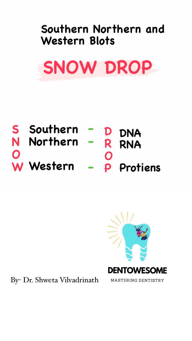 Mnemonic on Southern Northern and Western Blots – Dentowesome