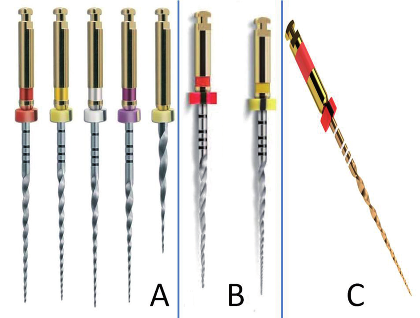 Fracture Strength of Roots Instrumented with ProTaper Universal ...